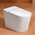 Contemporary Siphon Jet Flush Toilet Slow Close Seat Included Urine ...