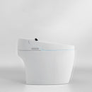 Contemporary Floor Mounted Toilet Indoor One Piece Toilet Bowl - Clearhalo