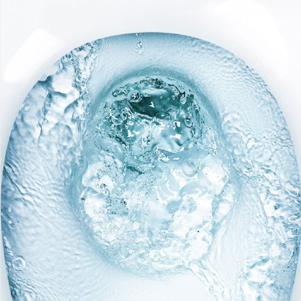 Modern Ceramic Toilet One Piece Flush Toilet with Toilet Seat - Clearhalo