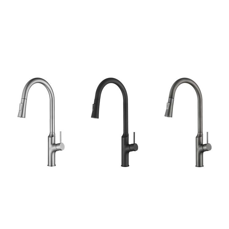 Contemporary Single Lever Kitchen Faucet 1-Hold Water Faucet with Pull ...