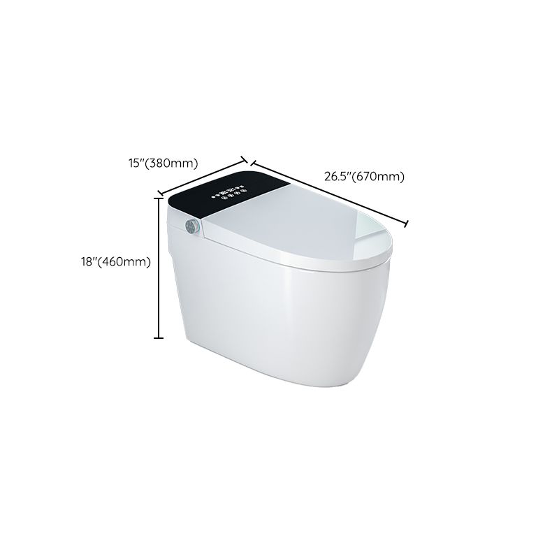 Vitreous China Bidets Elongated All-in-One Bidet with Heated Seat ...