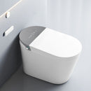 Modern Floor Standing Bidet With Bidet And Seat and Remote Control ...