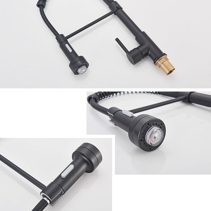 Brass Spring Spout Kitchen Faucet with Single Handle Kitchen Faucet ...