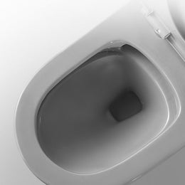 Modern One Piece Toilet Bowl Siphon Jet Flush Toilet with Seat - Clearhalo