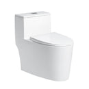 Contemporary White Flush Toilet Ceramic Urine Toilet for Bathroom ...