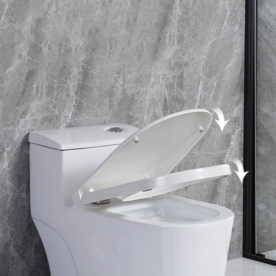 Modern Siphon Jet Toilet Floor Mount Flush Toilet with Toilet Seat ...