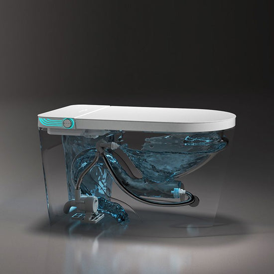 Modern Floor Mounted Toilet Bowl Siphon Jet All In One Flush Toilet ...