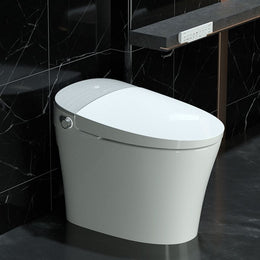 Contemporary Floor Mounted Flush Toilet Ceramic Siphon Jet Urine Toilet ...