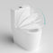 Traditional All-In-One Toilet Floor Mounted White Urine Toilet for ...