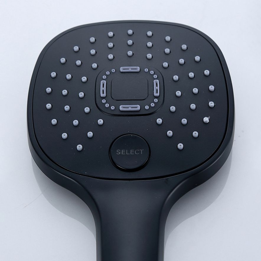 Modern 3 Sprays Shower Head Combo Metal Adjustable Shower Heads - Clearhalo
