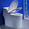 Traditional Toilet Bowl One Piece Floor Mounted Siphon Jet Porcelain ...