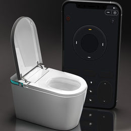 Siphon Jet Toilet Bowl Contemporary Floor Mounted Toilet for Bathroom ...