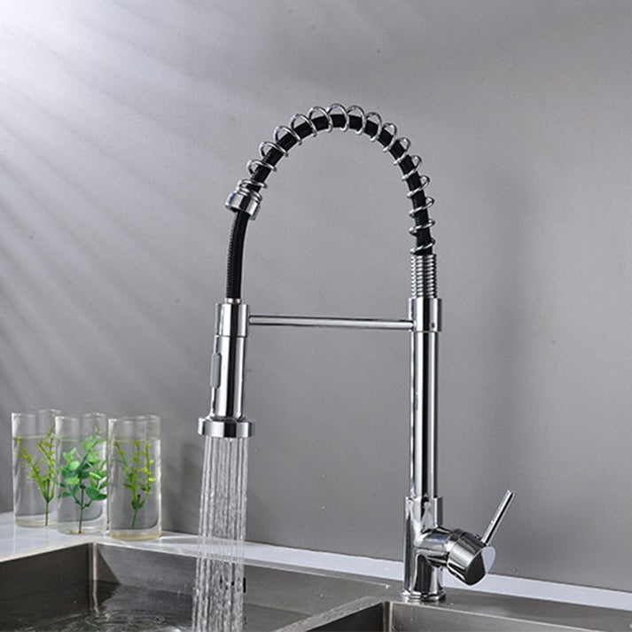 Modern Spring Spout Faucets 1-Handle with Water Dispenser Standard ...