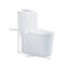 Traditional Floor Mounted Flush Toilet One Piece Toilet Siphon Jet ...