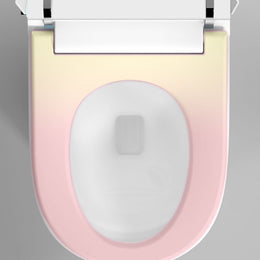 Contemporary One Piece Flush Toilet Heated Seat Included Toilet Bowl ...