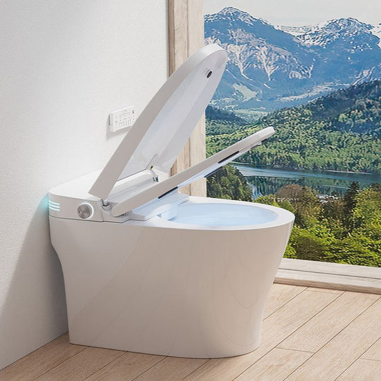 Simplicity Bidets Bidets Toilet Temperature Control Elongated Seat ...