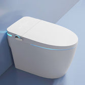 Modern White Flush Toilet Concealed Tank One-Piece Toilet with Slow ...
