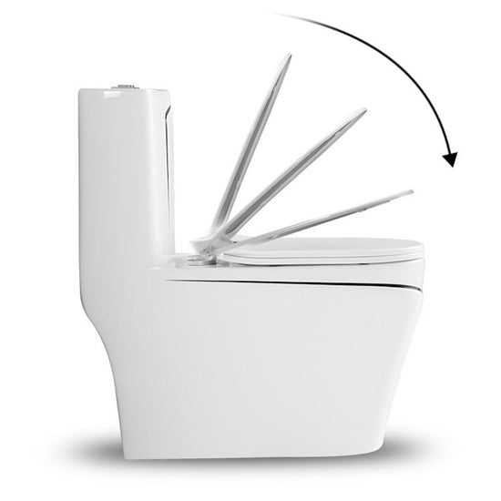 Floor Mounted Porcelain Urine Toilet Traditional Siphon Jet Flush ...