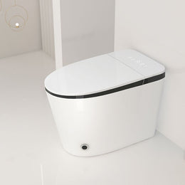 Deodorizing Floor Standing Bidet Foot Sensor Elongated Floor Mount ...
