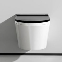 Ceramic Remote Control Included Elongated Contemporary Wall Mounted ...