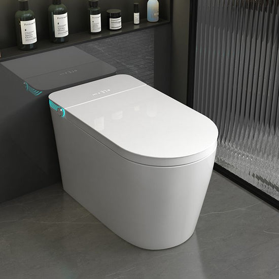Modern Floor Standing Bidet with Heated Seat White Floor Mount Bidet ...