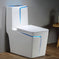 Simple Household Toilet Ceramic Siphon Jet Toilet with Pumping Mute ...