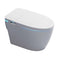 Modern White Flush Toilet Concealed Tank One-Piece Toilet with Slow ...