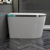 Modern Ceramic Flush Toilet Concealed Tank Toilet Bowl for Washroom ...