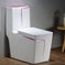 Simple Household Toilet Ceramic Siphon Jet Toilet with Pumping Mute ...
