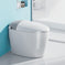 One Piece Toilet ABS Modern Toilet Floor Mounted Siphon Jet Urine ...
