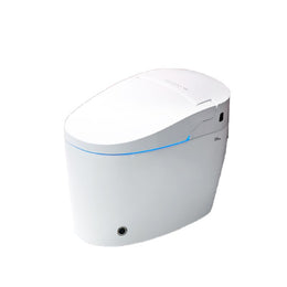 Contemporary Siphon Jet Flush Toilet One Piece Toilet Bowl for Bathroom ...