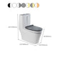 Skirted Flush Toilet Floor Mount Traditional One-Piece Toilet with Slow ...