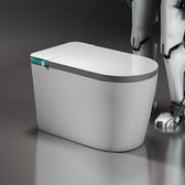 Deodorizing Ceramic Floor Standing Bidet with Unlimited Warm Water ...