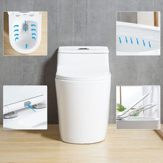 Modern Elongated Toilet Bowl Siphon Jet Flush Toilet with Seat for ...