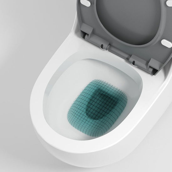Modern Elongated Toilet Bowl Siphon Jet Flush Toilet with Seat - Clearhalo
