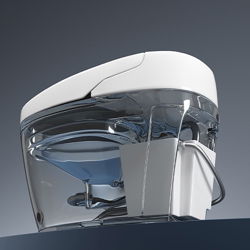 Contemporary Floor Standing Bidet Elongated Smart Bidet with Heated ...