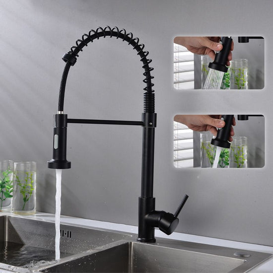 Modern Spring Spout Faucets 1-Handle with Water Dispenser Standard ...