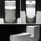 All-In-One Elongated Toilet Dual Flush Siphon Jet Water Saving Toilet ...