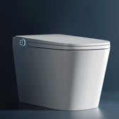Modern Skirted Toilet Bowl Siphon Jet Toilet with Soft-Close Seat for ...