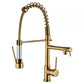 Modern Spring Spout Faucets Handle with Water Dispenser Standard ...