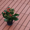 Contemporary Square Wood Tile Wire Brushed Brown Engineered Wood for ...