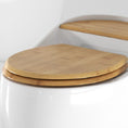 Contemporary Ceramic Flush Toilet One Piece Toilet Bowl for Bathroom ...