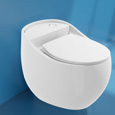 Contemporary Ceramic Flush Toilet One Piece Toilet Bowl for Bathroom ...
