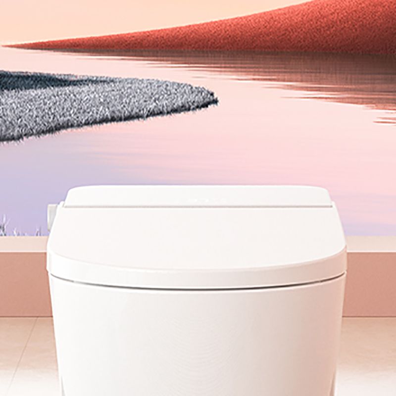 Modern Floor Standing Bidet Elongated Antimicrobial Floor Mount Bidet ...