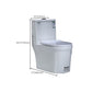 Modern Floor Mount Flush Toilet 1-Piece Urine Toilet with Seat for ...