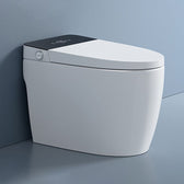 Ceramic Elongated Smart Toilet Bidet without Water Pressure Control ...
