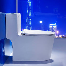 Traditional Toilet Bowl One Piece Floor Mounted Siphon Jet Porcelain ...