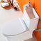 Modern Ceramic Toilet Bowl Floor Mounted Urine Toilet with Seat for ...