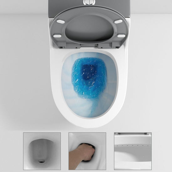 Modern Elongated Toilet Bowl Siphon Jet Flush Toilet with Seat - Clearhalo