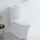 Traditional Ceramic Flush Toilet 1-Piece Toilet Bowl for Bathroom ...